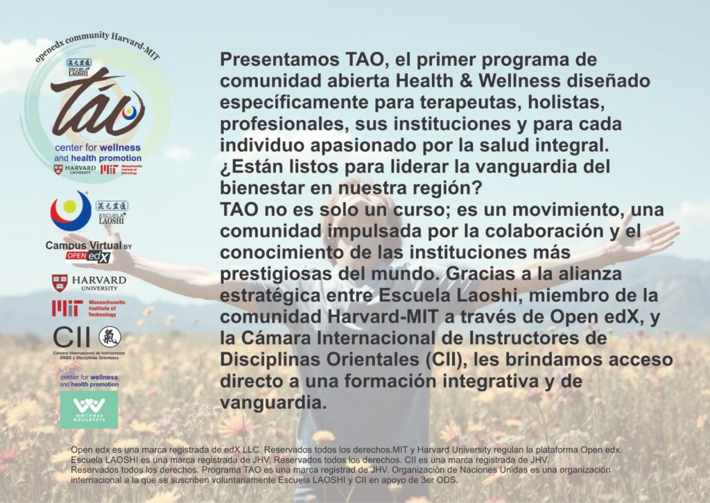 Home - escuelalaoshi.com